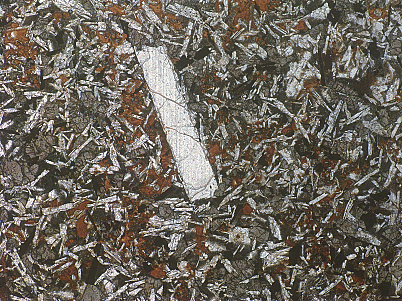 Rocks for Brains | Columbia River Basalt Series, Specimen 4